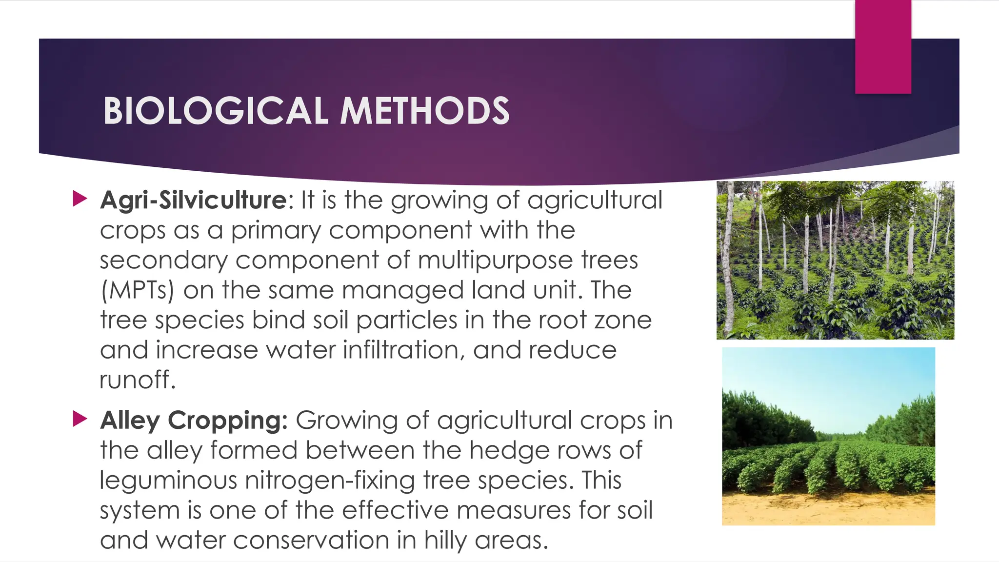 soil and water conservation practices in organic farming.pptx