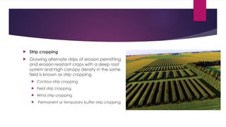 soil and water conservation practices in organic farming.pptx