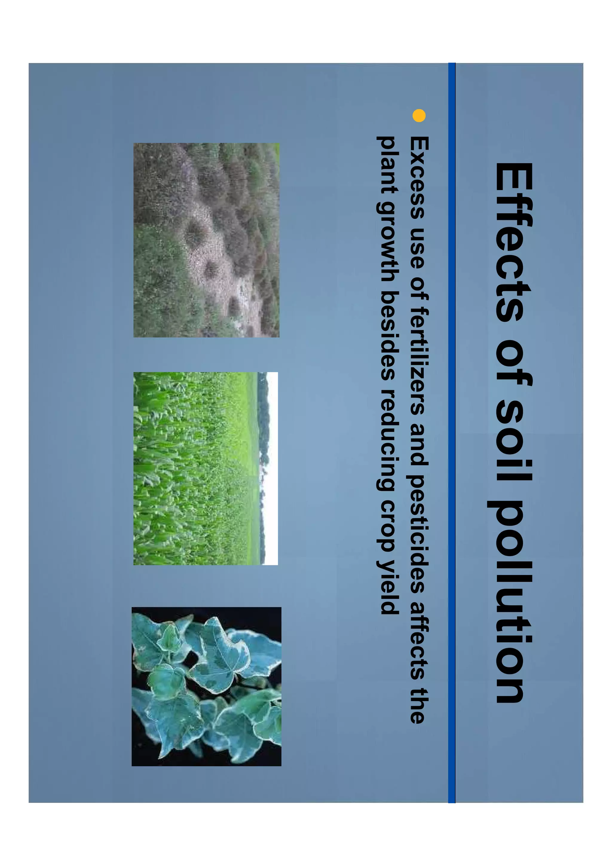 Soil and water pollution | PDF