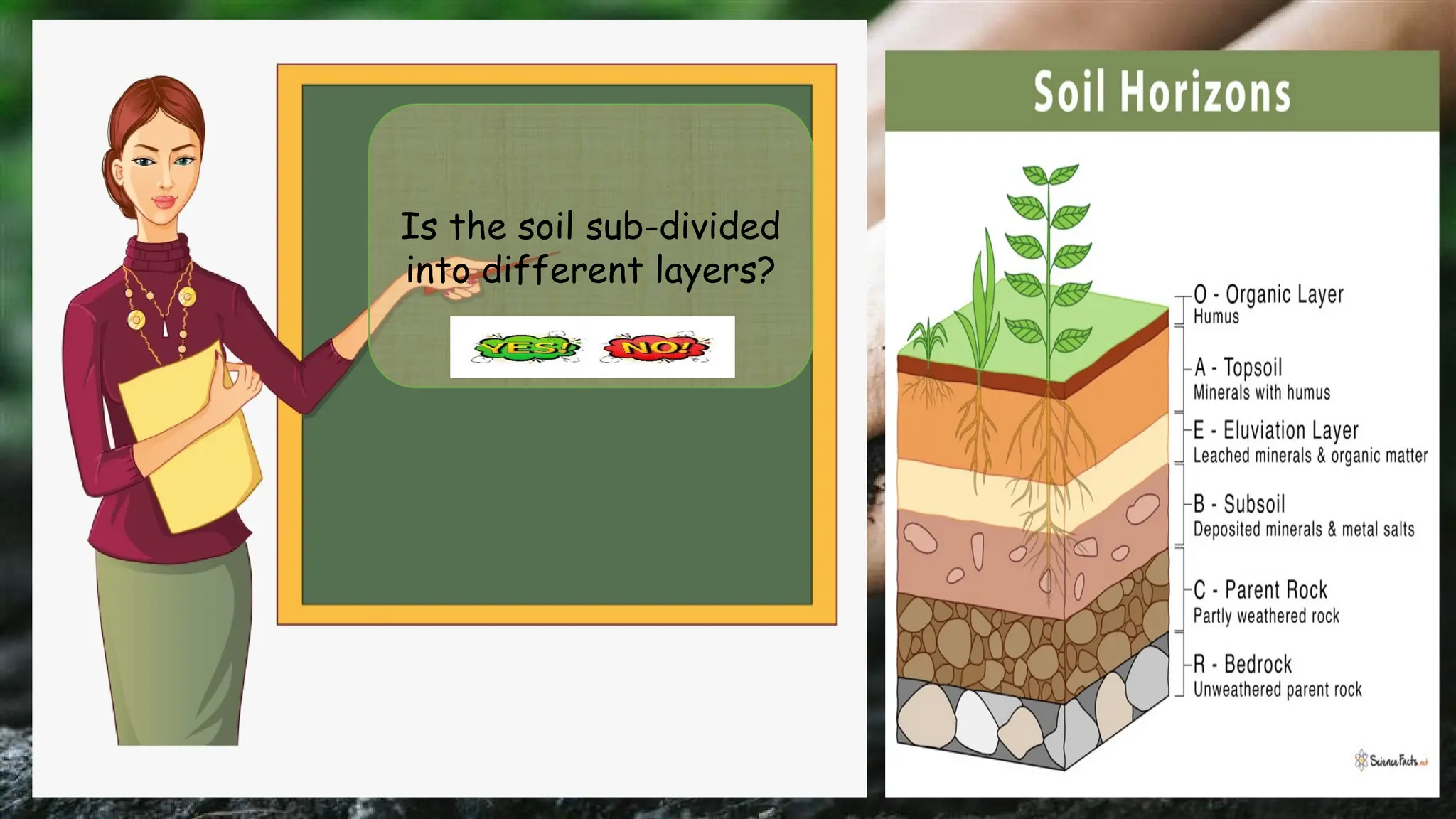 soil and you.pptx definition, components and soil layers | PPT