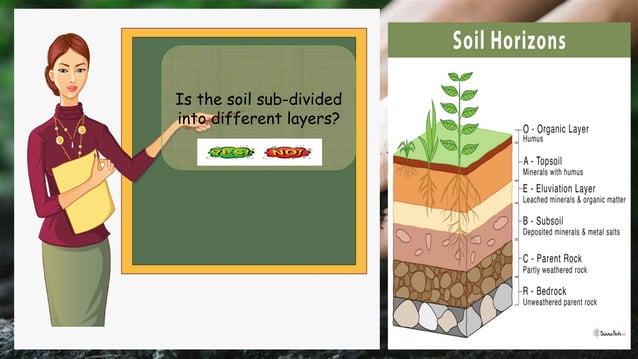 soil and you.pptx definition, components and soil layers | PPT