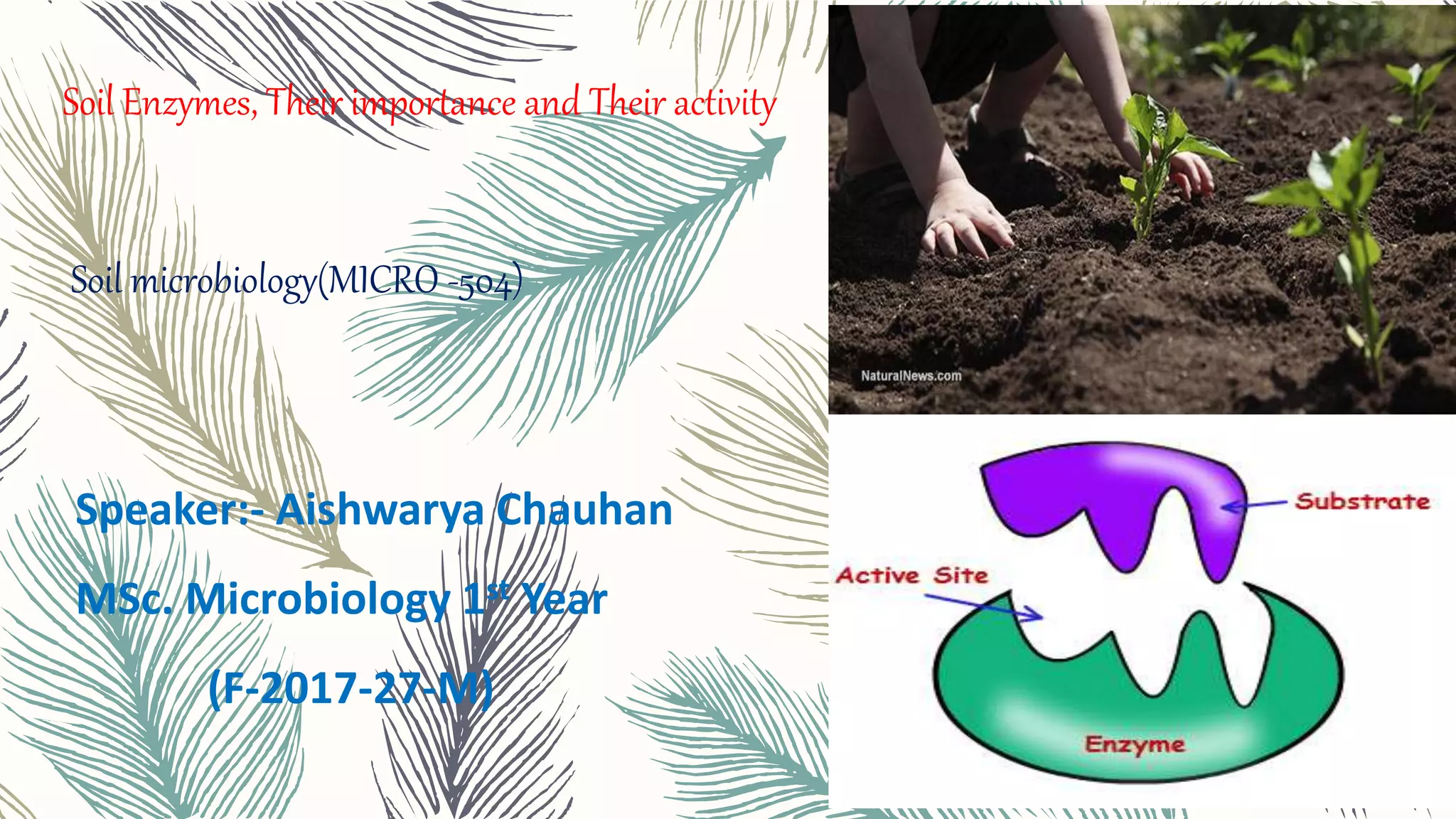 SOIL ENZYMES AND THEIR ACTIVITY | PPTX