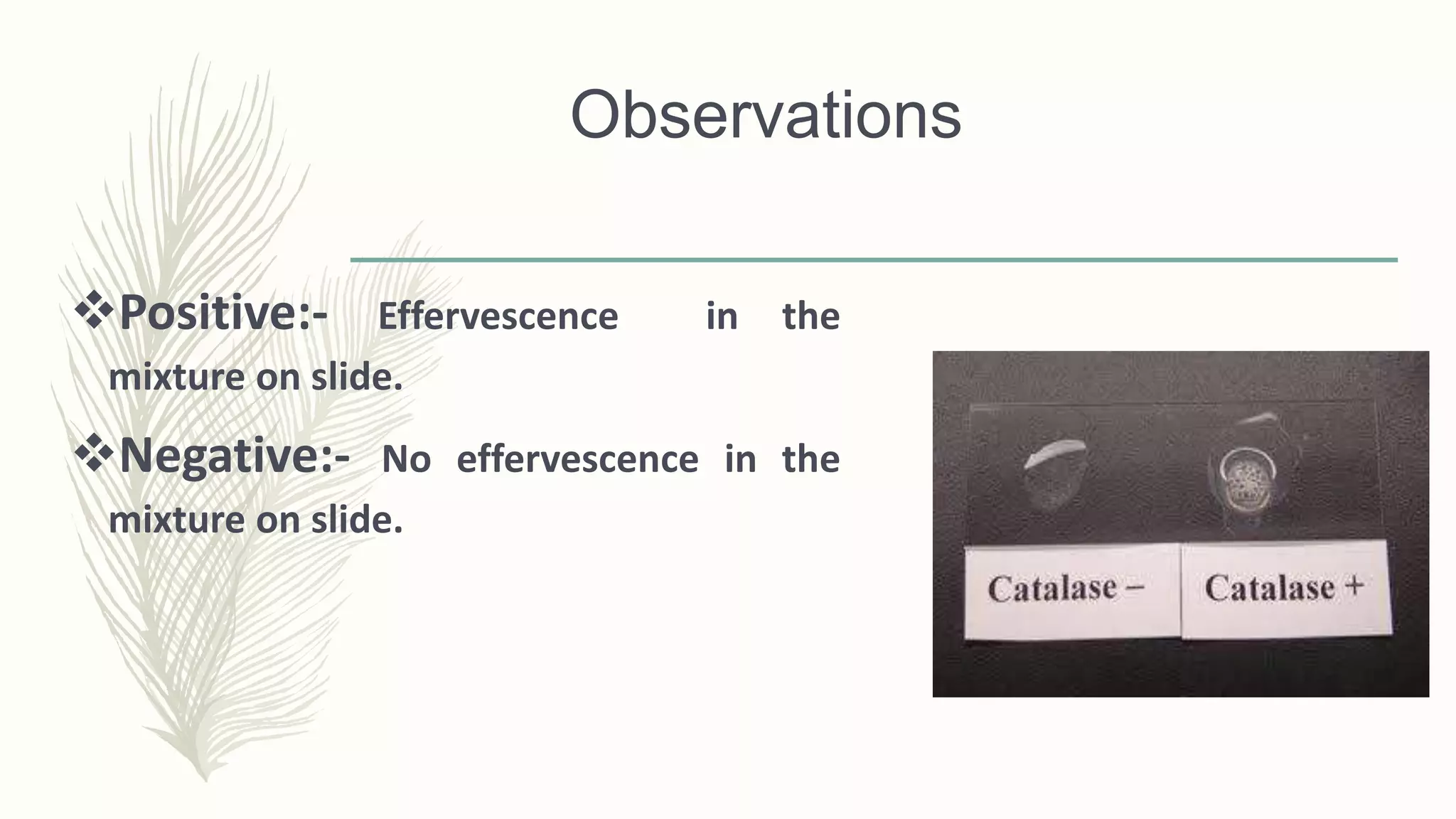 SOIL ENZYMES AND THEIR ACTIVITY | PPTX