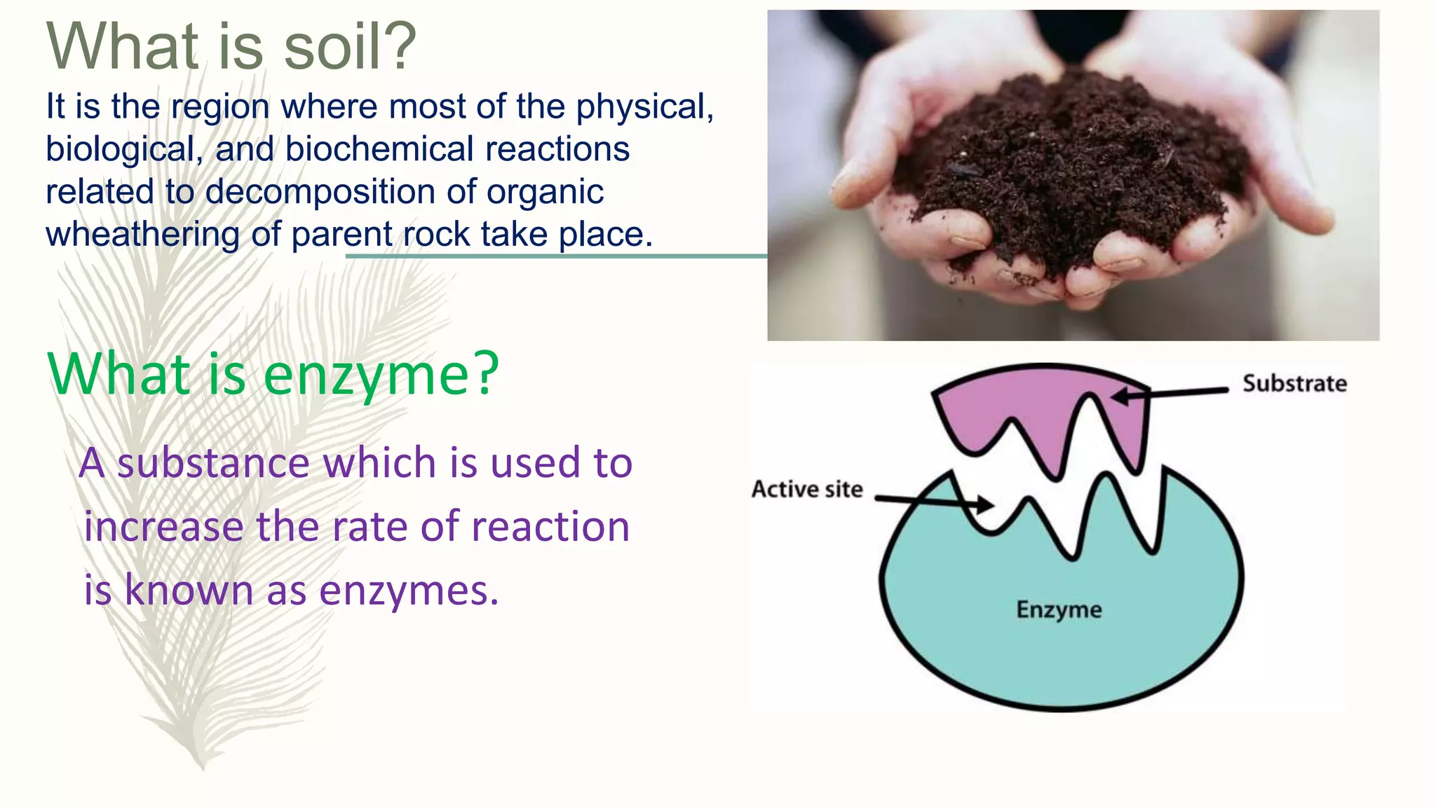 SOIL ENZYMES AND THEIR ACTIVITY | PPTX