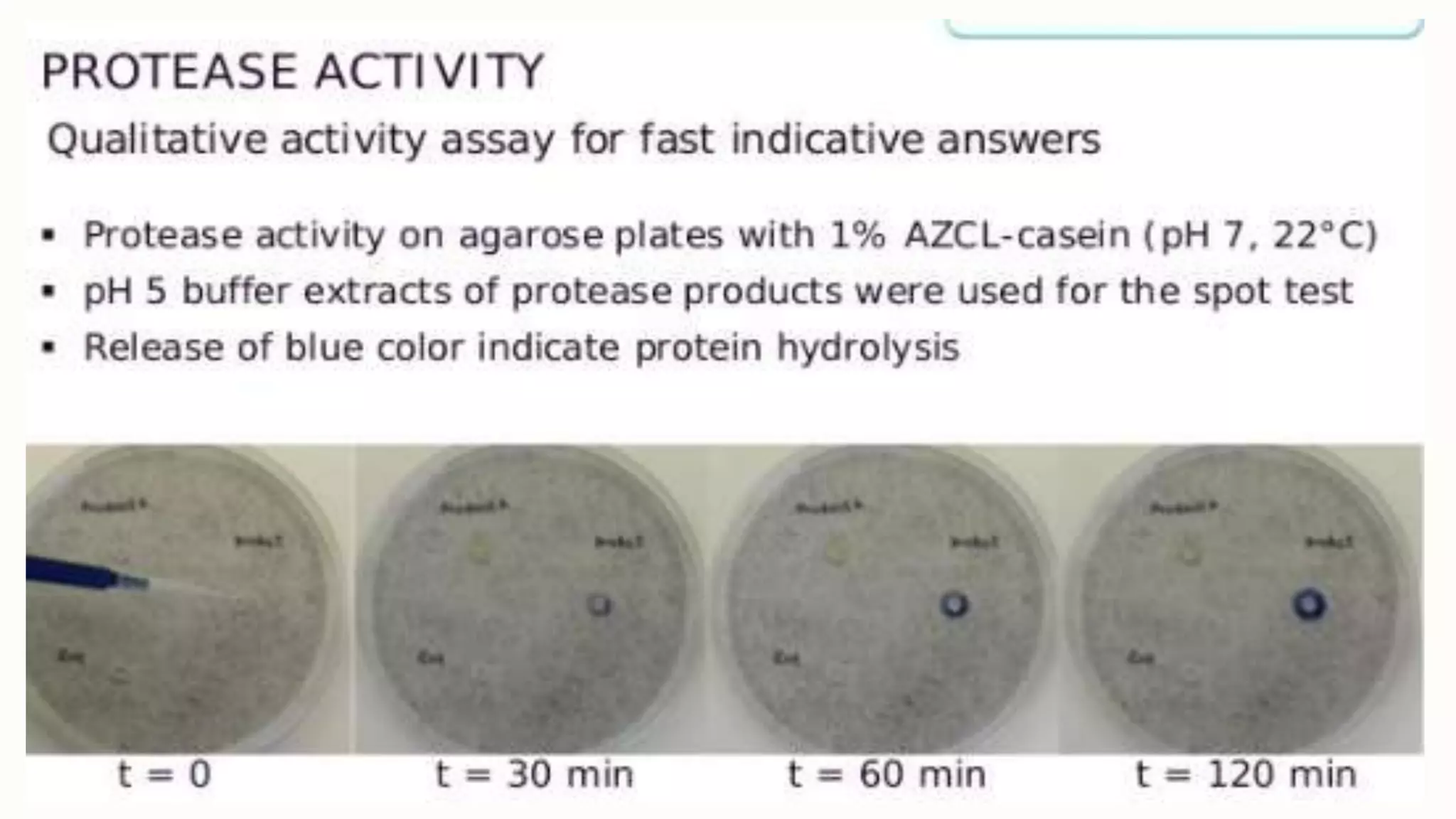 SOIL ENZYMES AND THEIR ACTIVITY | PPTX