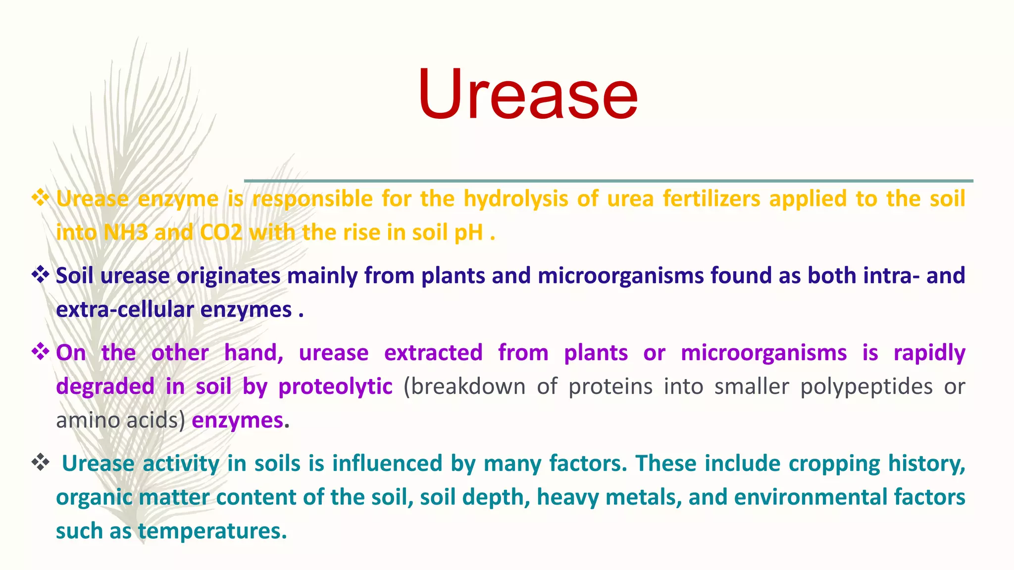 SOIL ENZYMES AND THEIR ACTIVITY | PPTX