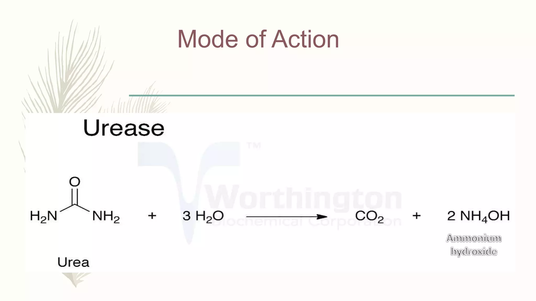 SOIL ENZYMES AND THEIR ACTIVITY | PPTX