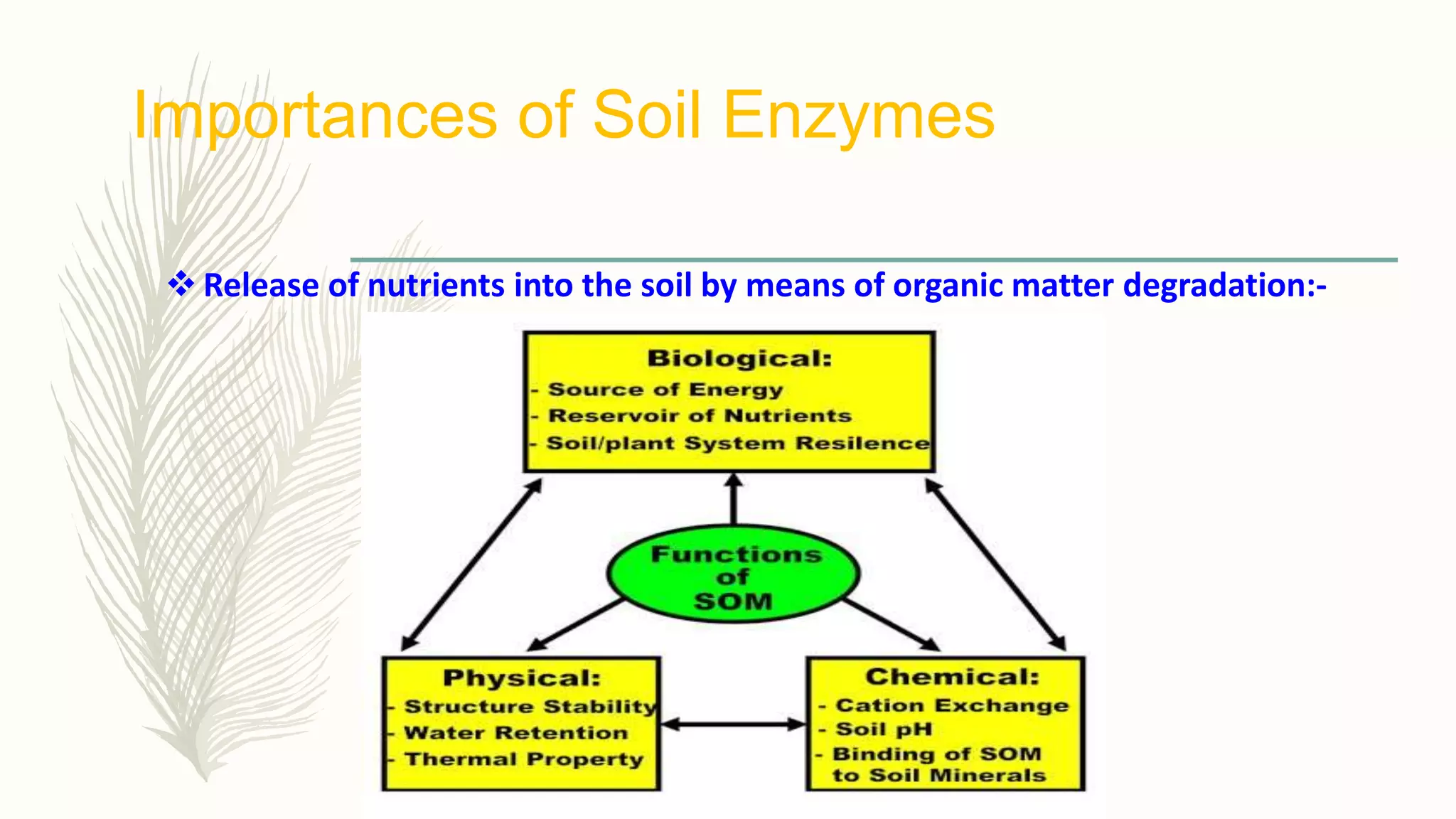 SOIL ENZYMES AND THEIR ACTIVITY | PPTX