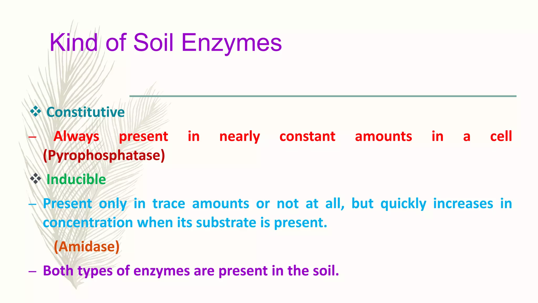 SOIL ENZYMES AND THEIR ACTIVITY | PPTX