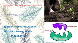 SOIL ENZYMES AND THEIR ACTIVITY | PPTX