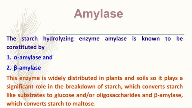 SOIL ENZYMES AND THEIR ACTIVITY | PPTX | Chemistry | Science