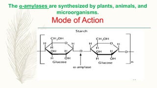 SOIL ENZYMES AND THEIR ACTIVITY | PPTX