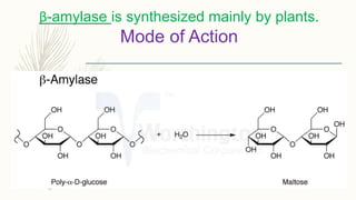 SOIL ENZYMES AND THEIR ACTIVITY | PPTX