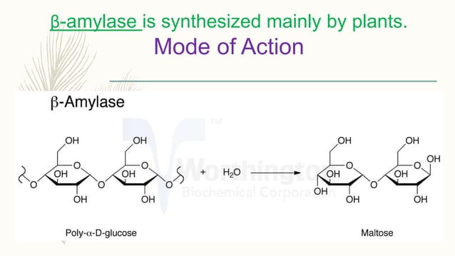 SOIL ENZYMES AND THEIR ACTIVITY | PPTX | Chemistry | Science