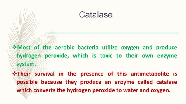 SOIL ENZYMES AND THEIR ACTIVITY | PPTX | Chemistry | Science