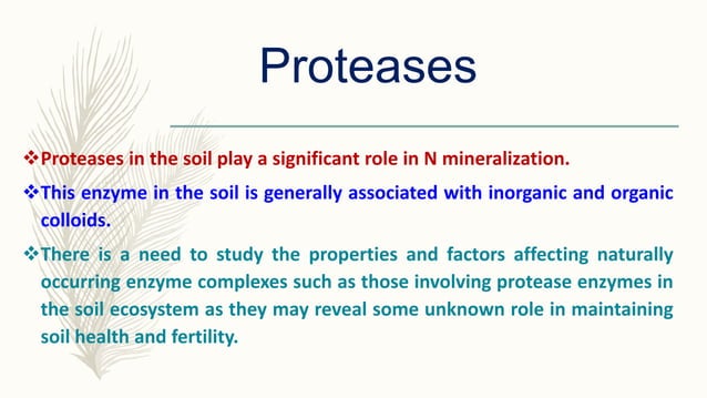 SOIL ENZYMES AND THEIR ACTIVITY | PPTX | Chemistry | Science