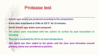 SOIL ENZYMES AND THEIR ACTIVITY | PPTX