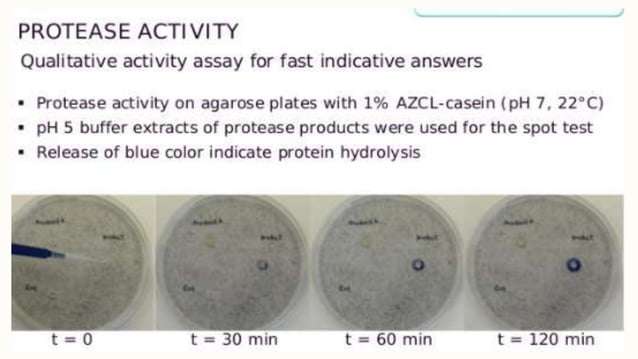 SOIL ENZYMES AND THEIR ACTIVITY | PPTX | Chemistry | Science