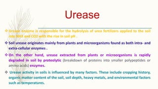 SOIL ENZYMES AND THEIR ACTIVITY | PPTX