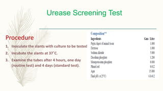 SOIL ENZYMES AND THEIR ACTIVITY | PPTX