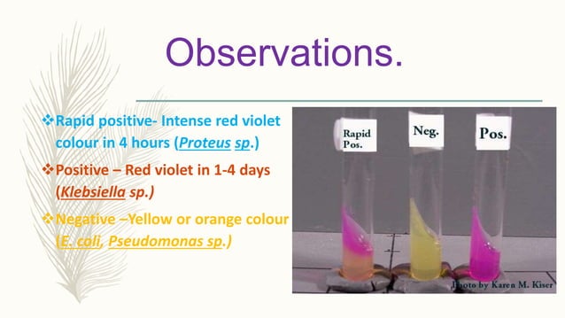 SOIL ENZYMES AND THEIR ACTIVITY | PPTX | Chemistry | Science