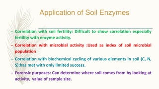 SOIL ENZYMES AND THEIR ACTIVITY | PPTX