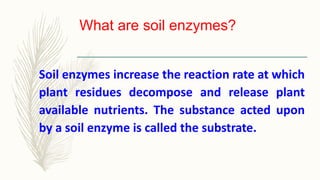 SOIL ENZYMES AND THEIR ACTIVITY | PPTX