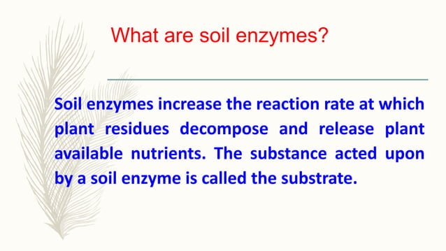 SOIL ENZYMES AND THEIR ACTIVITY | PPTX | Chemistry | Science