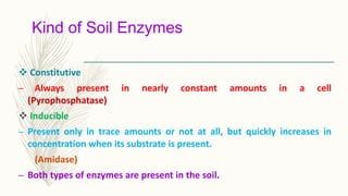 SOIL ENZYMES AND THEIR ACTIVITY | PPTX