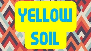 Soil As A Resource - Class X | PDF