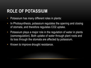 Soil as a Source of minerals.pptx
