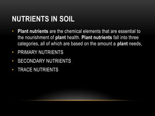 Soil as a Source of minerals.pptx