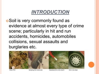 Soil as forensic evidence | PPT | Geology | Science