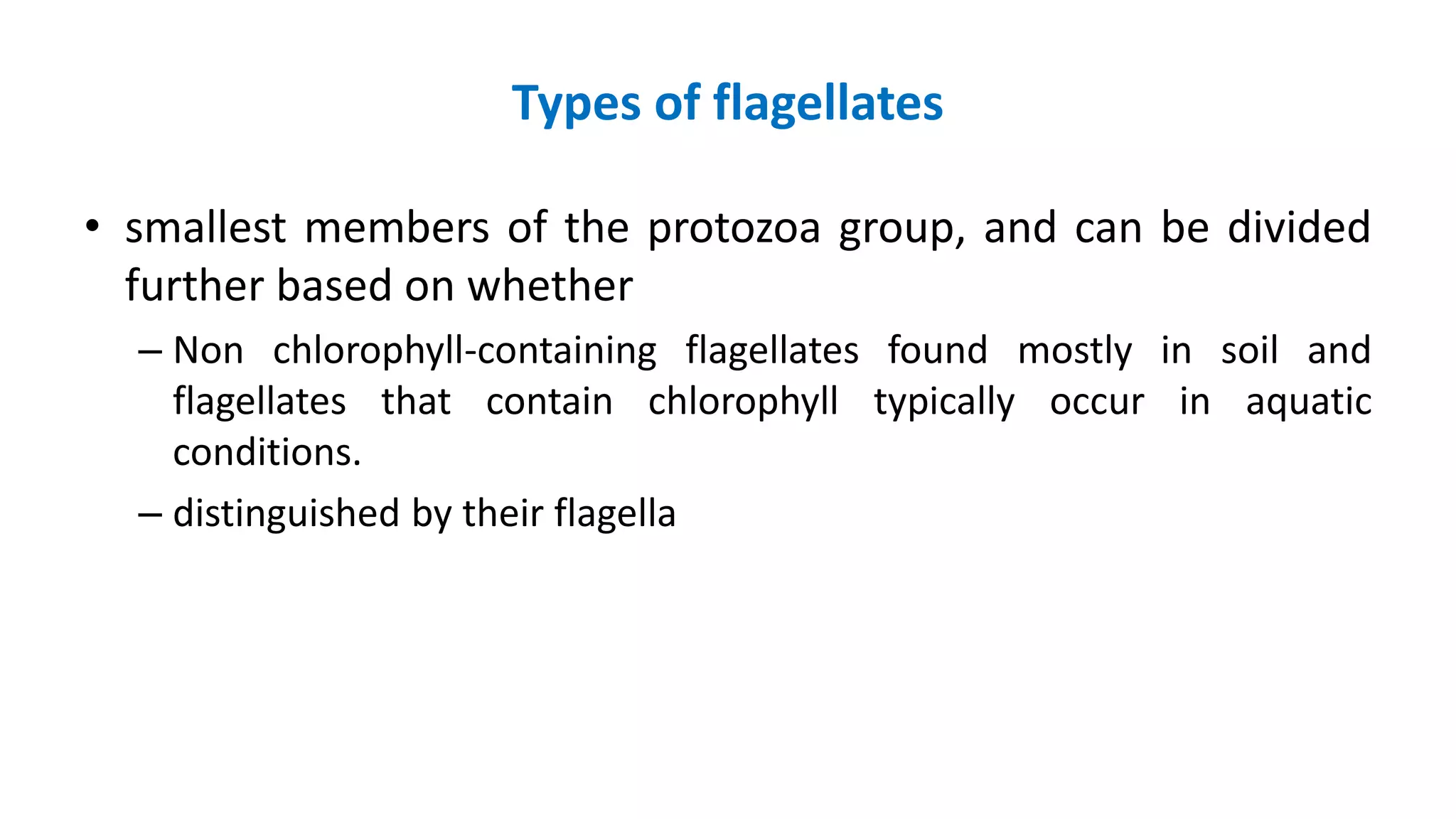 Soil as microbial habitat | PPTX