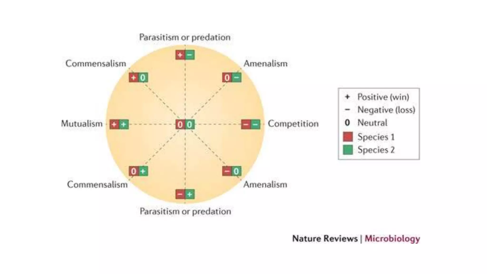 Soil as microbial habitat | PPTX