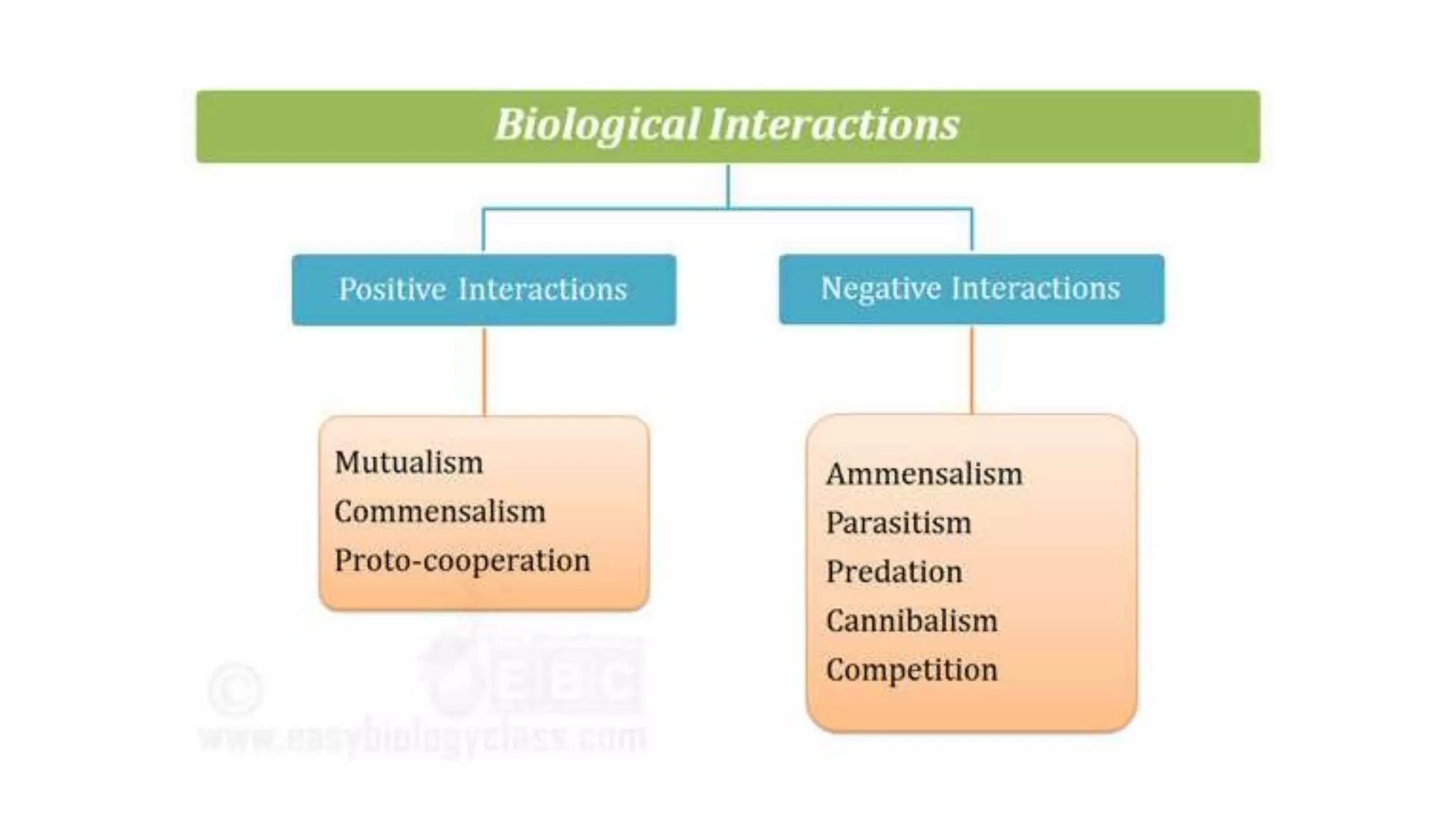 Soil as microbial habitat | PPTX