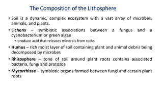 Soil as microbial habitat | PPTX