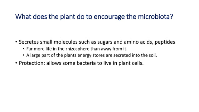Soil as microbial habitat | PPTX | Gardening | Home & Garden