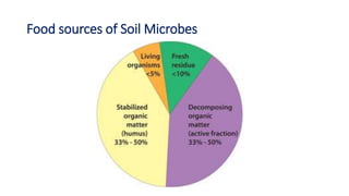 Soil as microbial habitat | PPTX