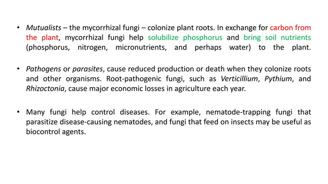 Soil as microbial habitat | PPTX | Gardening | Home & Garden