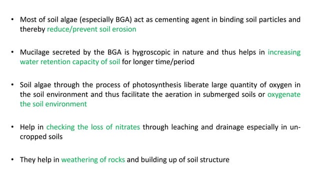 Soil as microbial habitat | PPTX | Gardening | Home & Garden