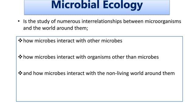 Soil as microbial habitat | PPTX | Gardening | Home & Garden