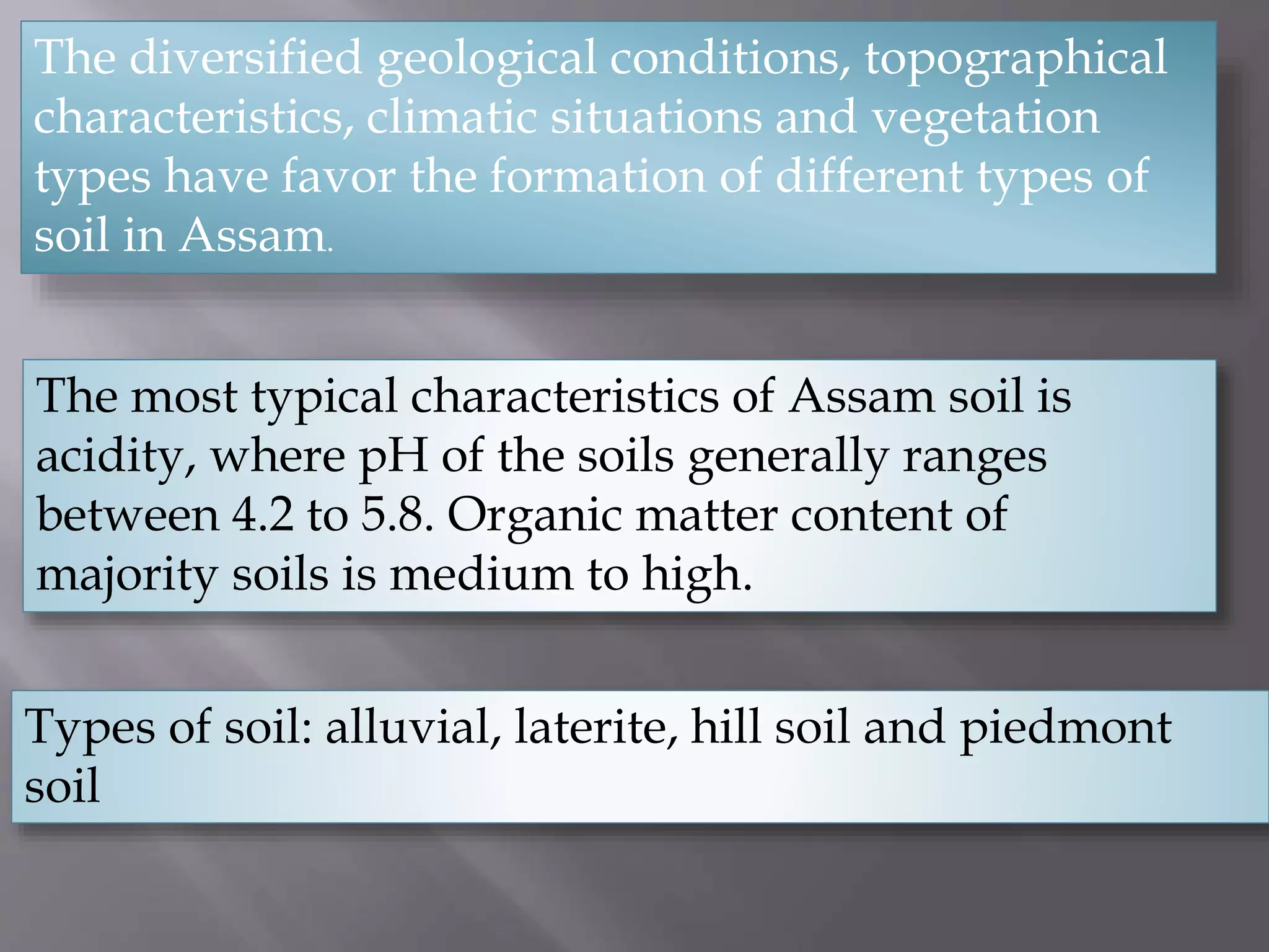 soil_assam.pptx