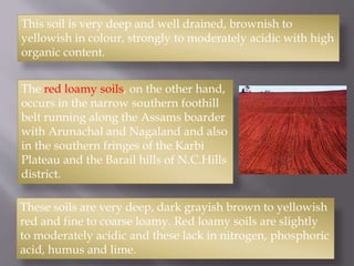 soil_assam.pptx