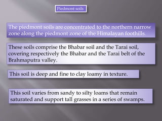 soil_assam.pptx