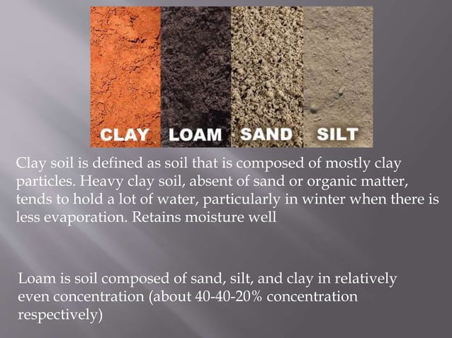 soil_assam.pptx | Geography | Science