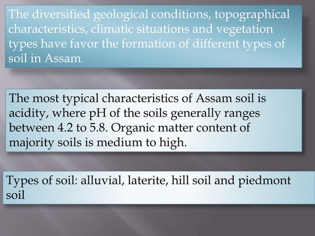 soil_assam.pptx | Geography | Science