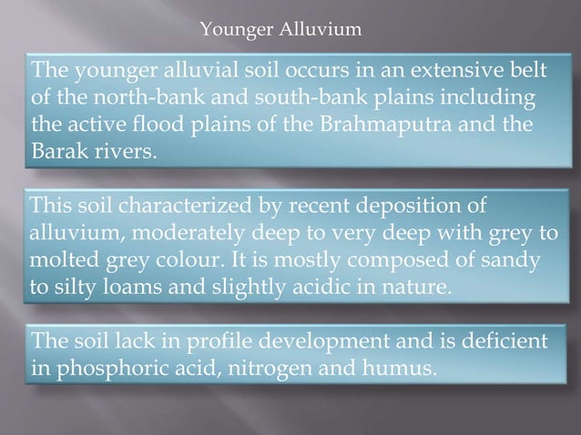 soil_assam.pptx | Geography | Science