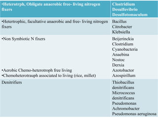 Transformation of Nitrogen, Phosphorous, Potassium and Sulphur | PPTX