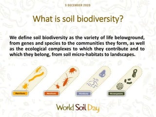 Soil biodiversity Global Report - Cuevas | PPTX